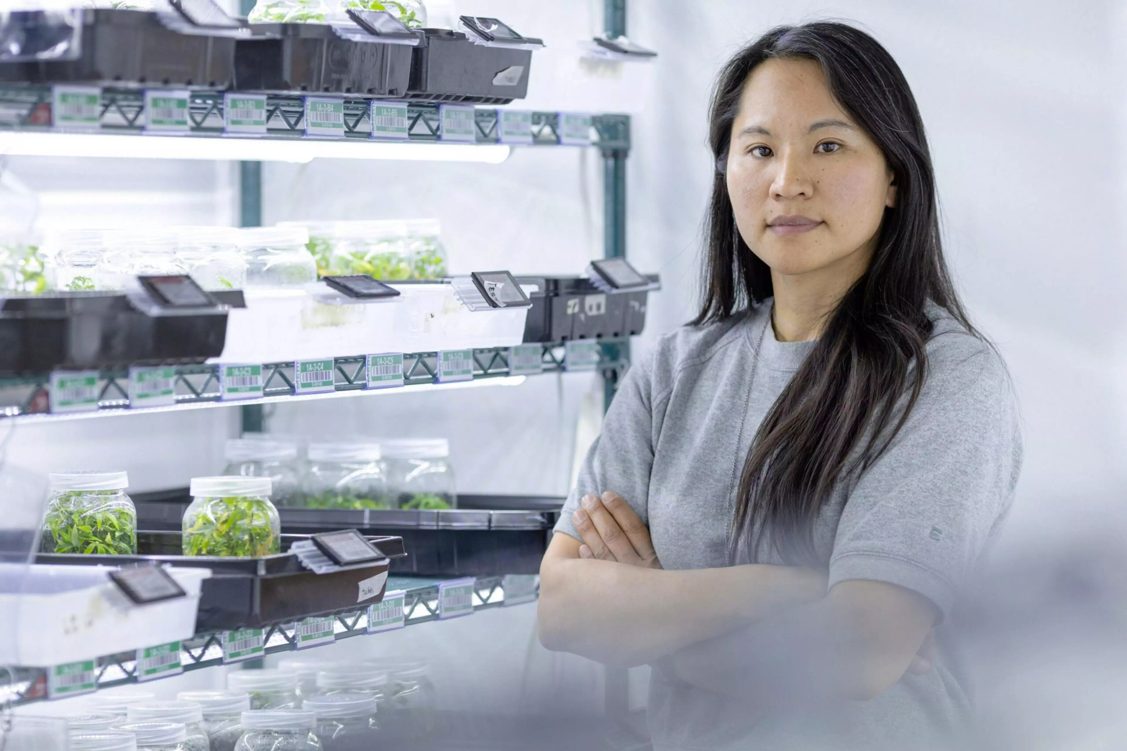 Grower outs weed’s ‘dirty little secret’ in her SF lab