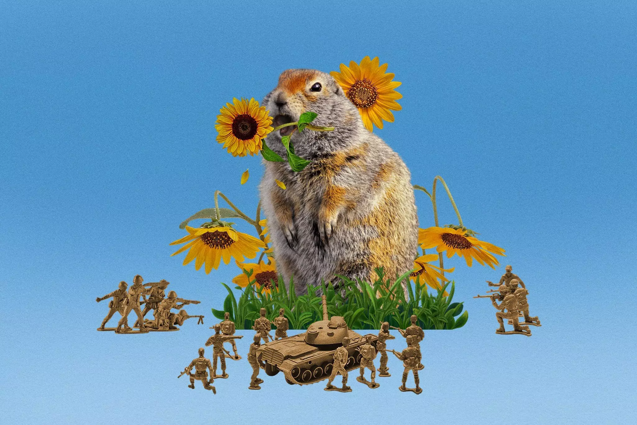 My war against the gophers