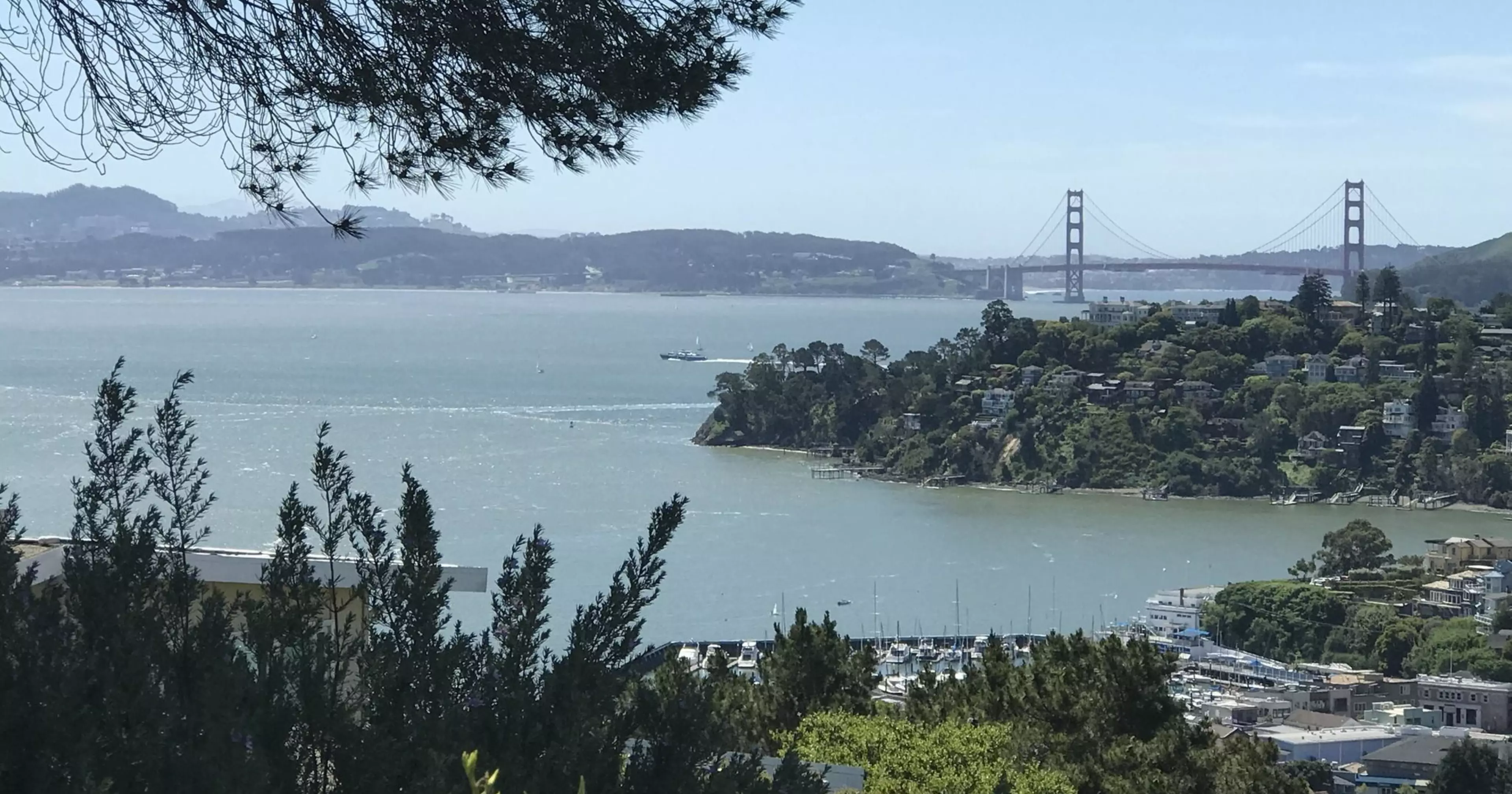 Hikers, rejoice: Tiburon nature reserve with sweeping SF views finally open