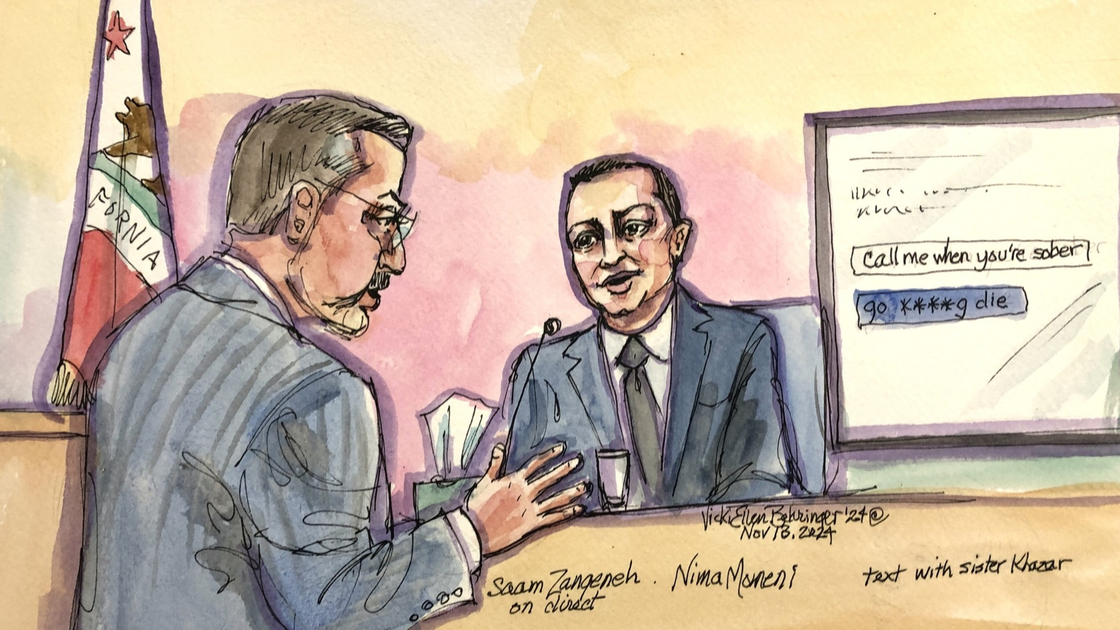 ‘I ask the questions, you answer the questions’: Nima Momeni testimony ...