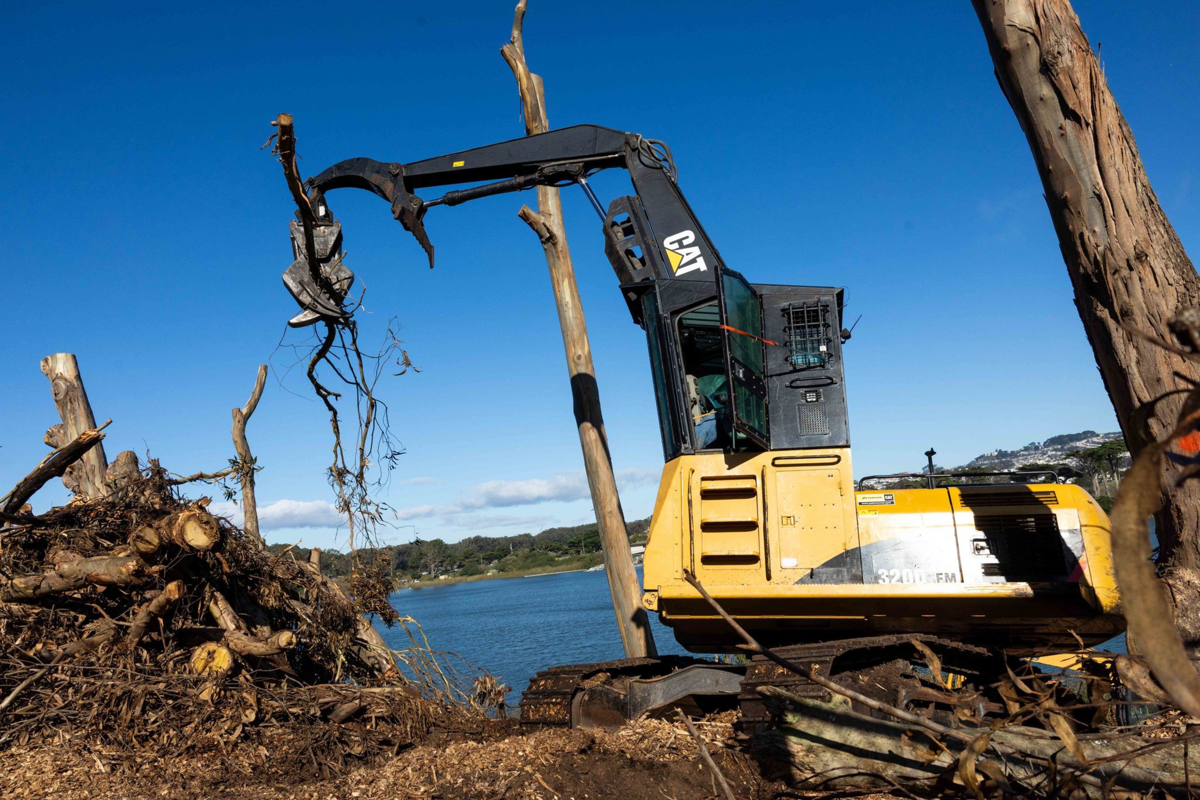 Miracle rescue: Bridge jumper plucked from the Bay by passing podcaster