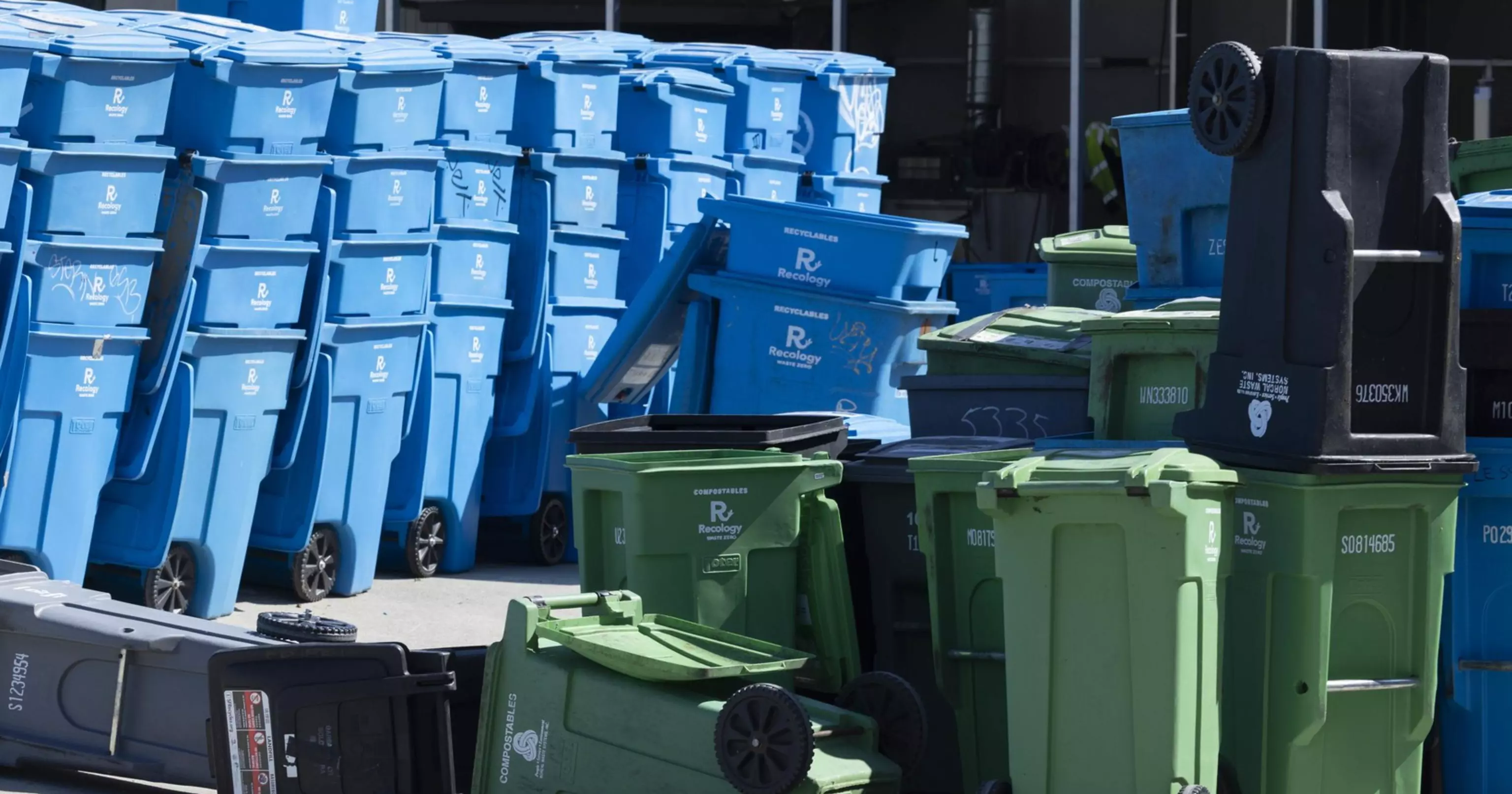Mark Farrell says SF’s oversight of Recology is trash. He wants to ...