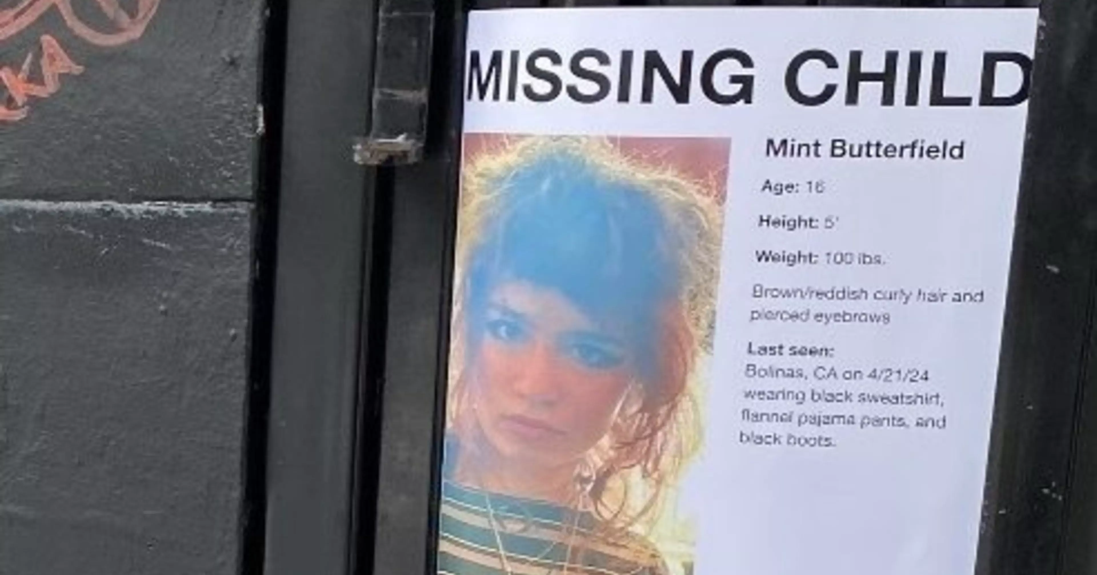 Mint Butterfield found: Man arrested for alleged abduction of missing teen