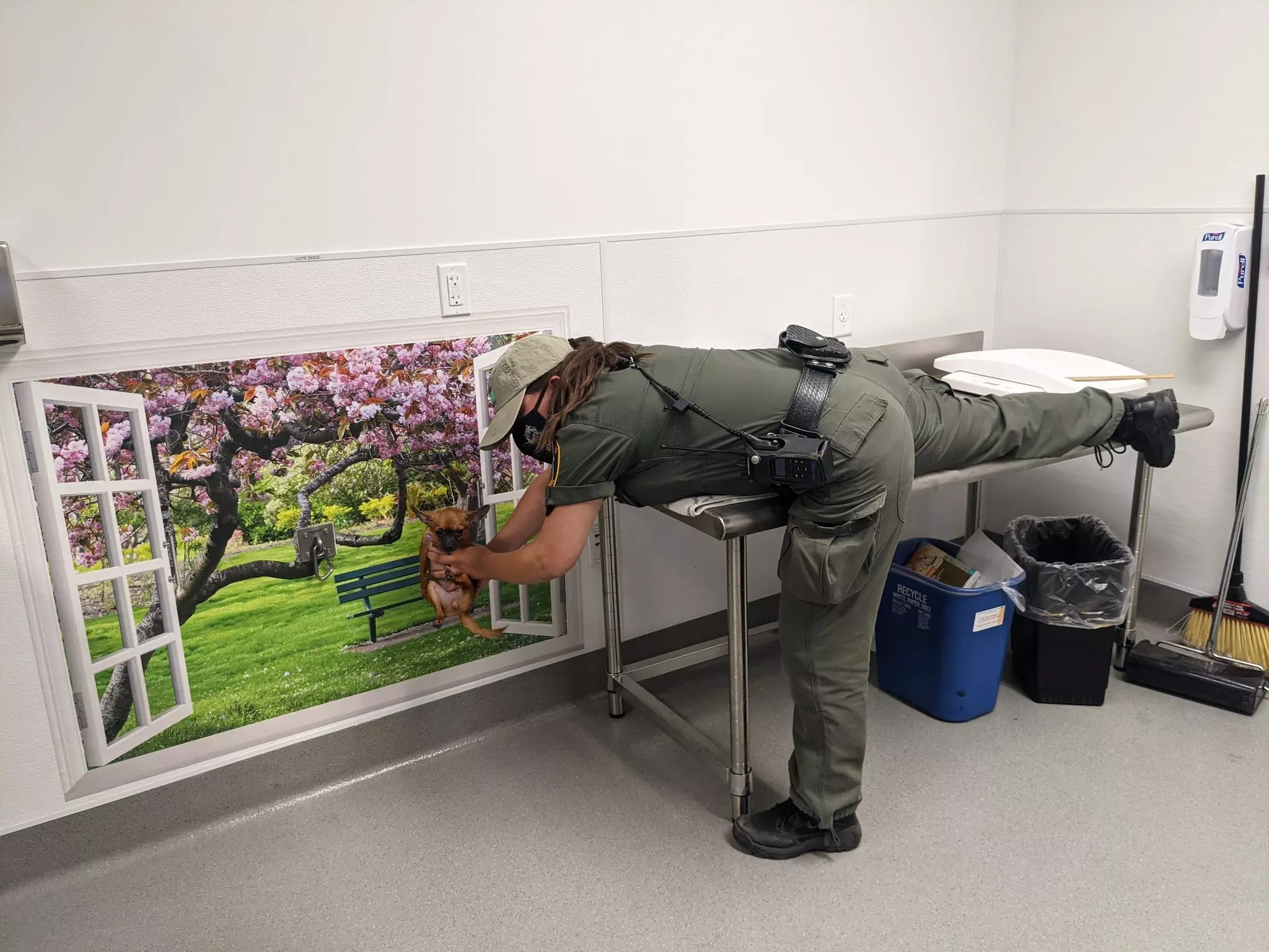 Officer Edith, Animal Care & Control’s most beloved employee, logs off