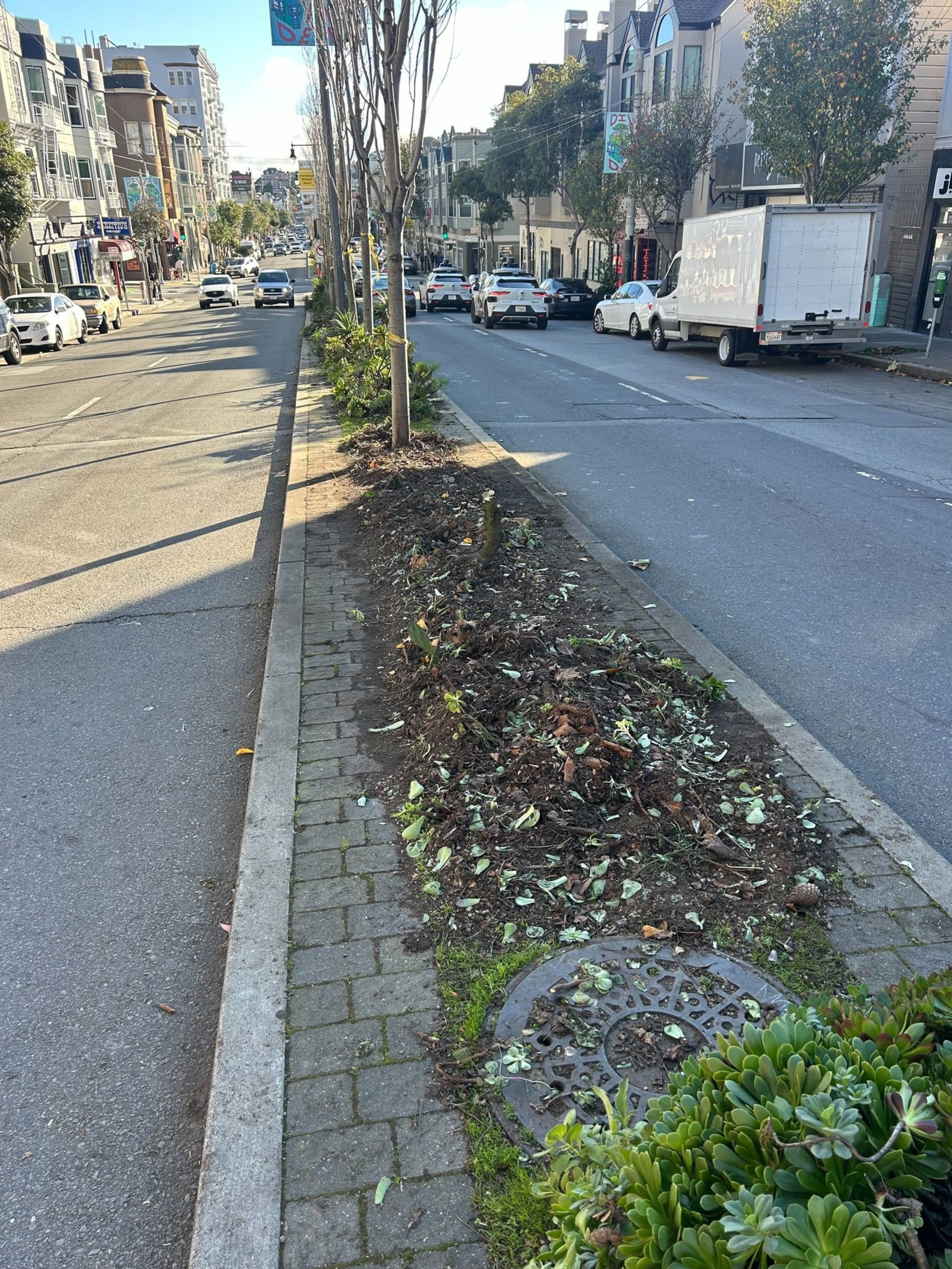 An artist spent a decade beautifying her Divisadero block. The city ...