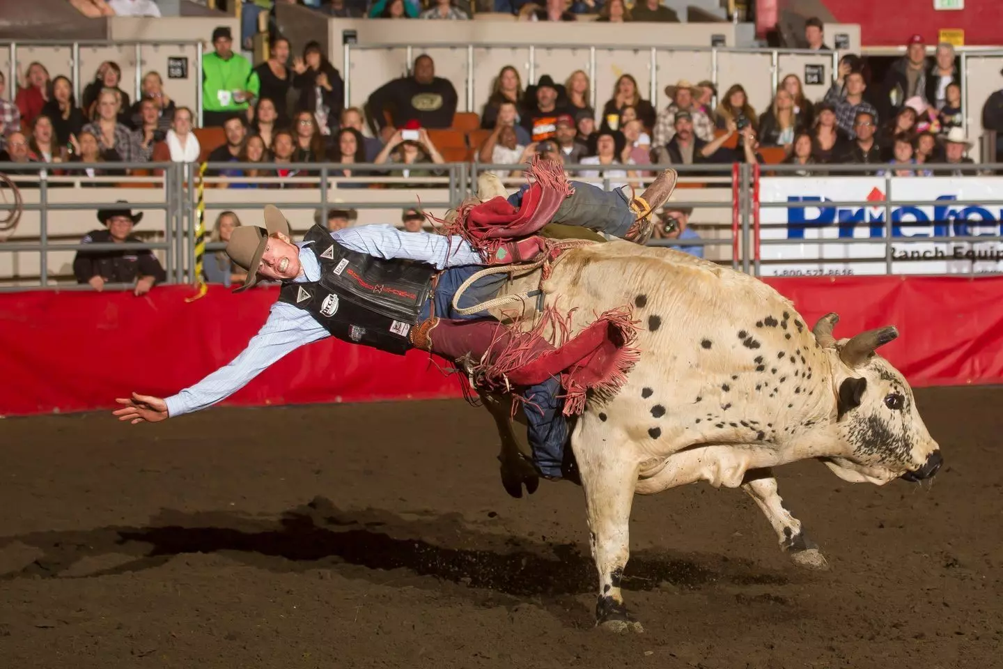 The Iconic Cow Palace: 75 Years of Rodeos, Music Legends and Expos