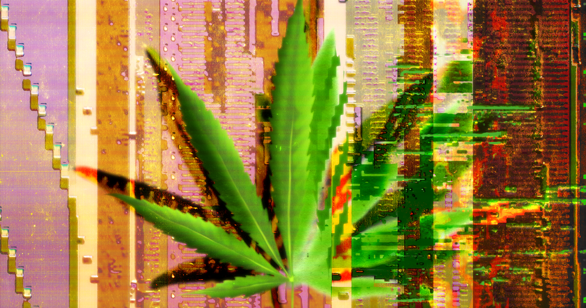 How the ‘Uber of weed’ went up in smoke after raising $350 million