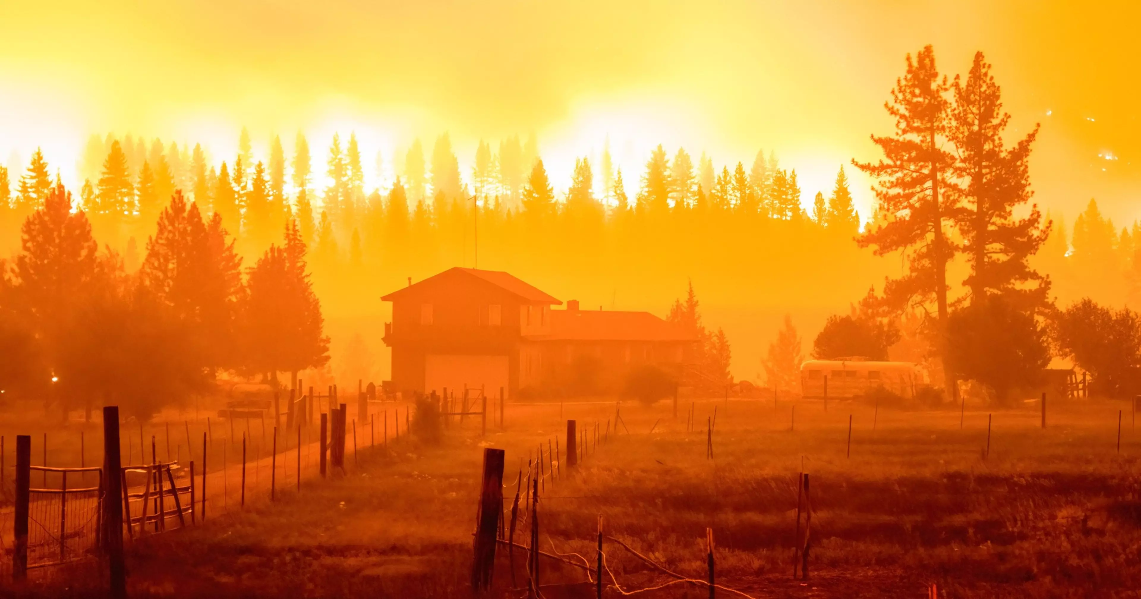 Insurance nightmares: Homeowners on their worst coverage struggles