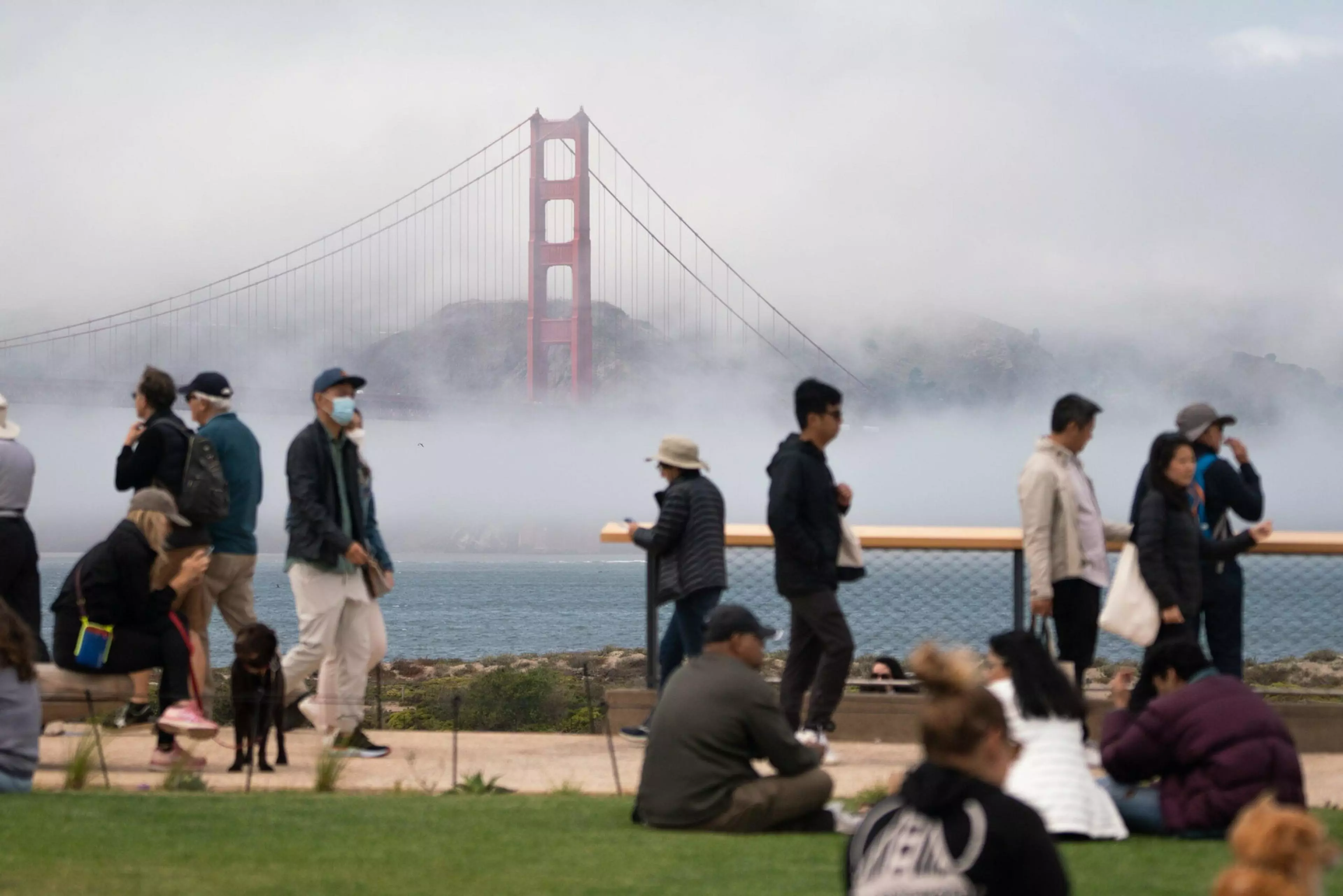 4 truths and 4 lies: What the latest census data says about perceptions ...